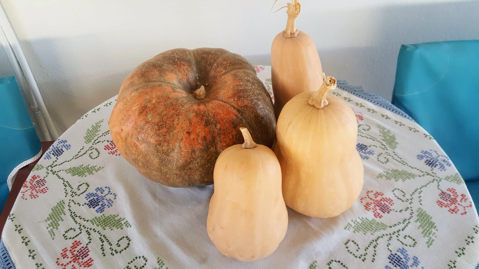 Κολοκύθα ή Γλυκοκολοκύθα: Ποια η θρεπτική αξία της - Family Time